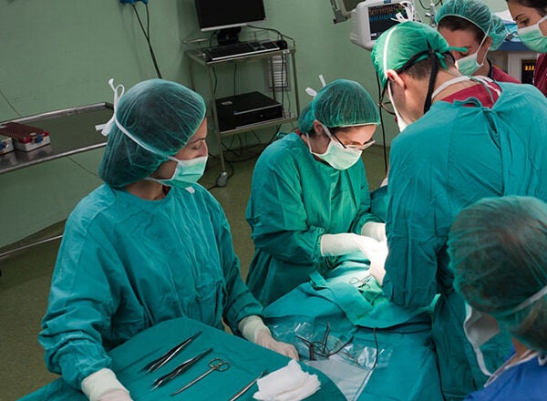 How Cuba’s Health Care Sector Aims to Gain a Greater Foothold ...