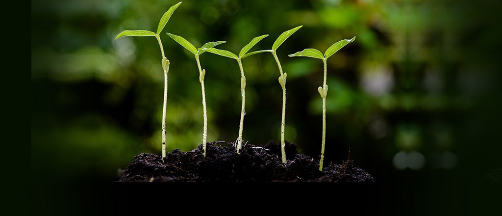 Five Commandments for Faster Growth - Knowledge at Wharton