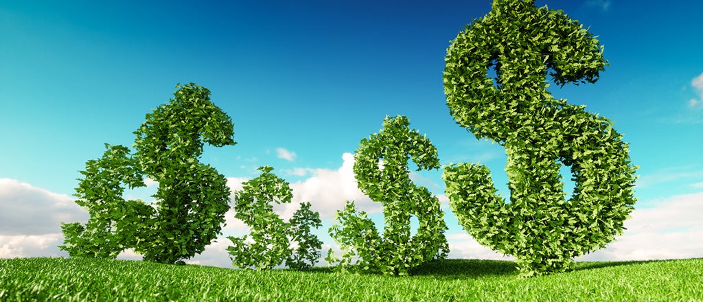 Why Green Assets May Not Continue to Outperform - Knowledge at Wharton